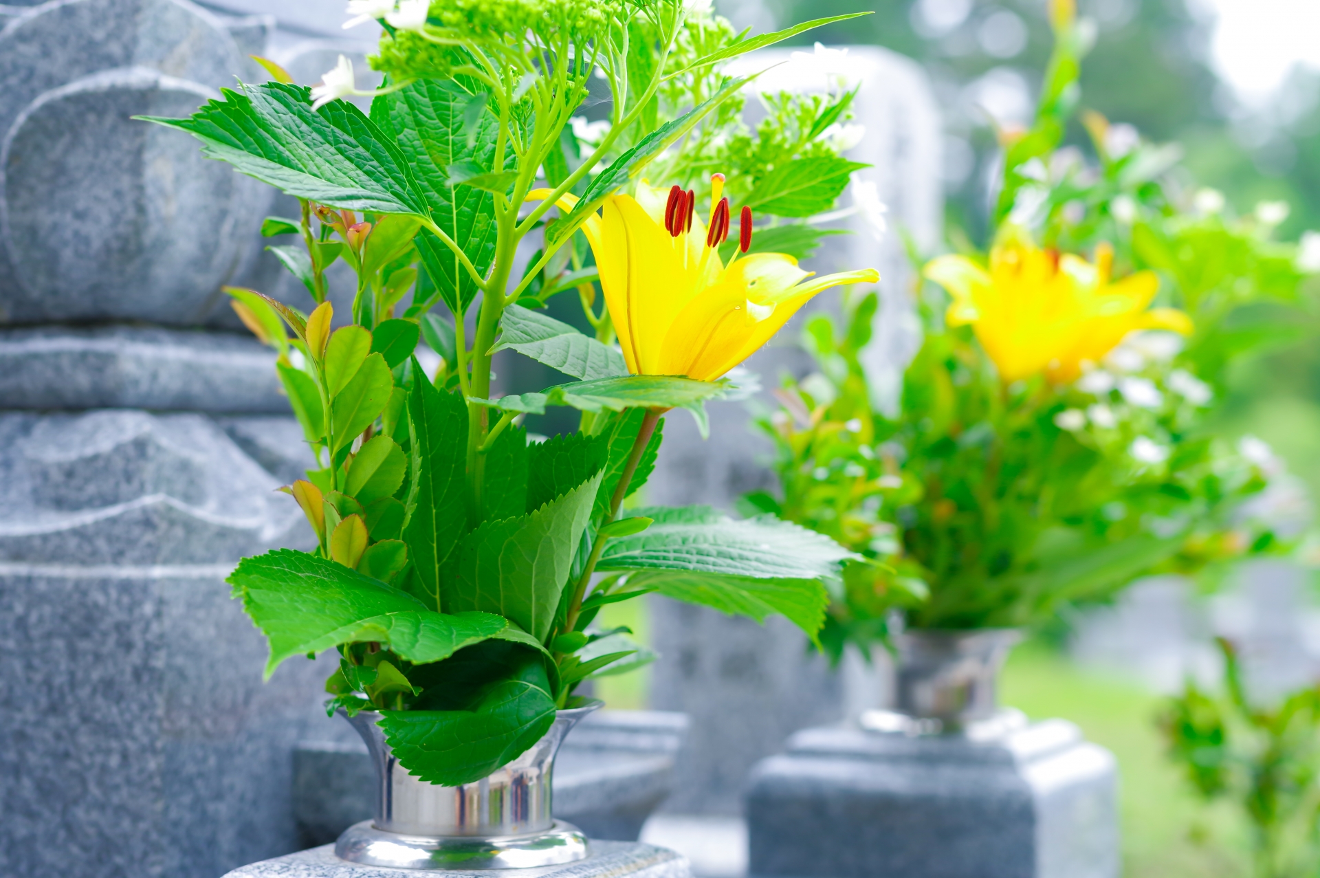 冠婚葬祭 おしえてnet｜忌日法要｜ sikisaisai